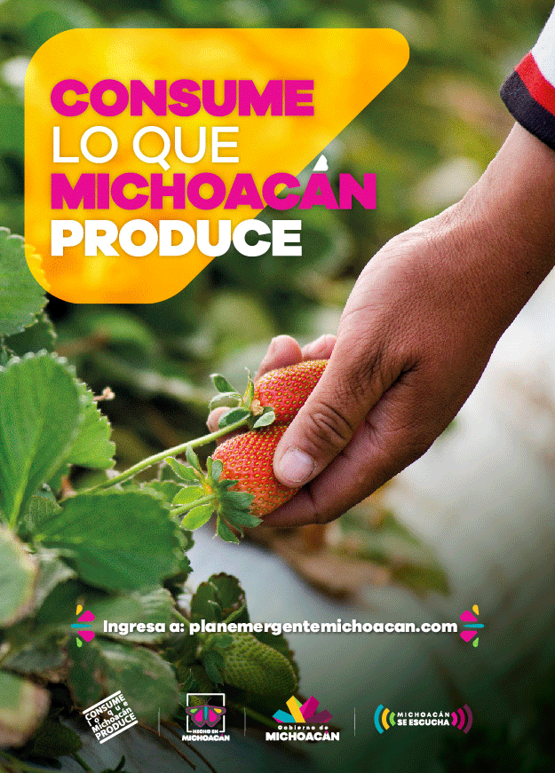 Consume lo que Mich produce – .:: Info Metrópoli